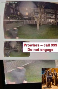 Tower Hamlets Crime Watch – Clarity, Reliability, Progress